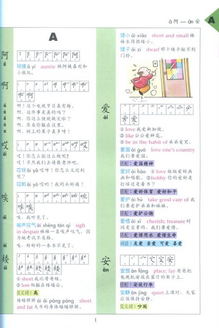 Chinese Dictionary For Beginners Chinese Books Learn Chinese 