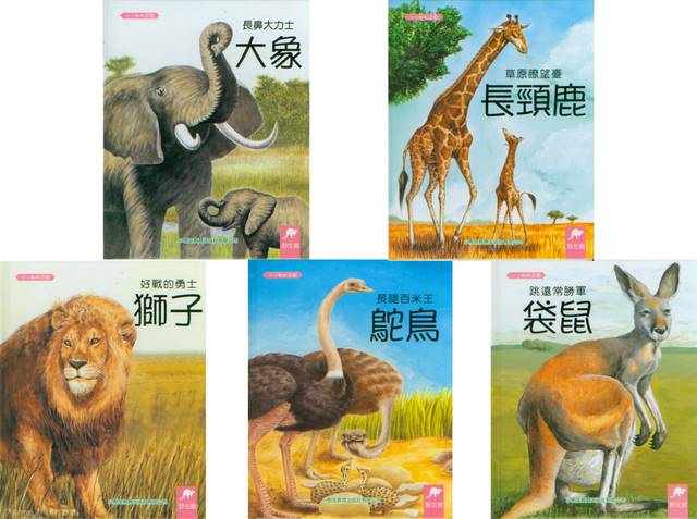 Animal Wonder Series | Chinese Books | Story Books | Science | ISBN ...