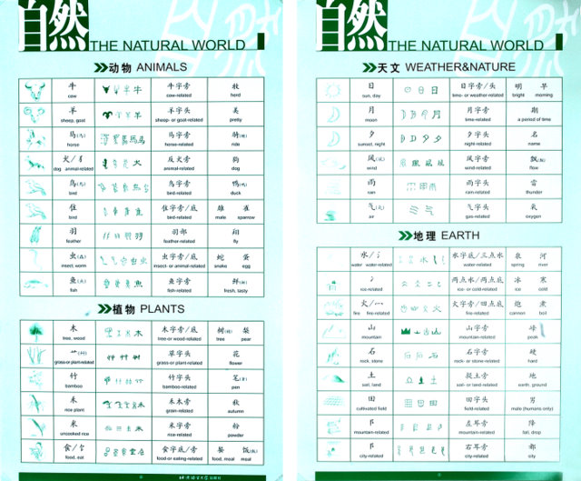 Chinese Radical Posters | Chinese Books | Learn Chinese | Posters