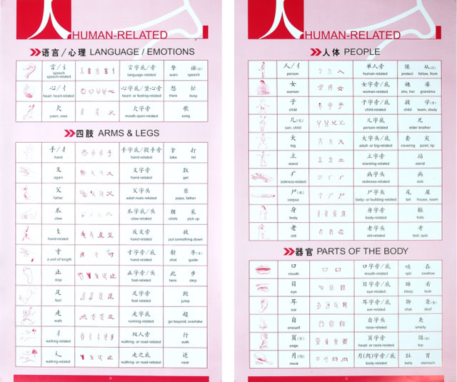 Chinese Radical Posters | Chinese Books | Learn Chinese | Posters