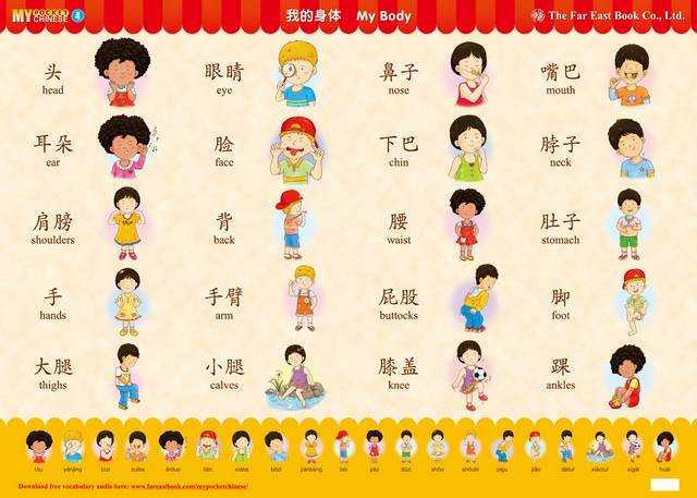 My Pocket Chinese Posters | Chinese Books | Learn Chinese | Posters ...