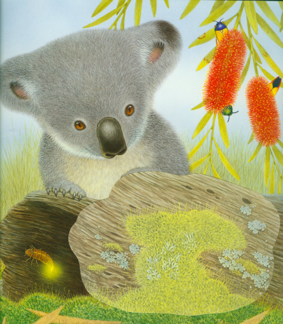 Kippy Koala | Chinese Books | Storybooks | Bilingual Storybooks | ISBN ...