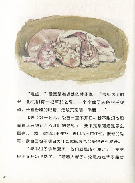 Rabbit's Child | Chinese Books | Story Books | Chinese for Young ...