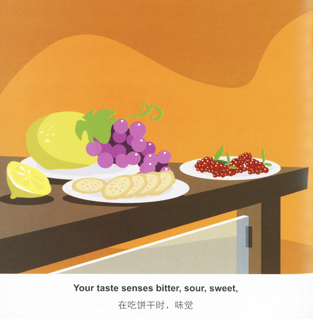 My First Bilingual Book Series - Five Senses | Chinese Books | Story ...