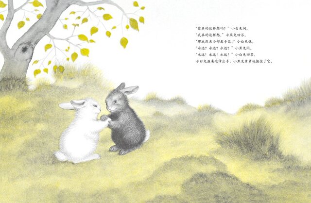 The Rabbits' Wedding | Chinese Books | Story Books | Western Books in ...
